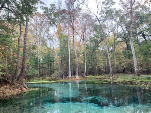 6 Crystal Clear Rivers In Florida To Float Your Way Down