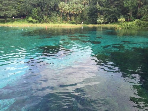 6 Crystal Clear Rivers In Florida To Float Your Way Down