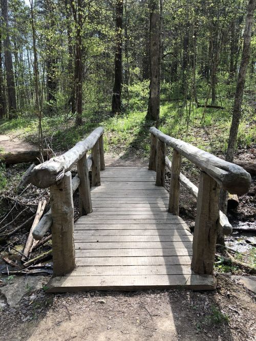 Nine Penny Branch Loop Is An Amazing Hike To A Waterfall In Indiana