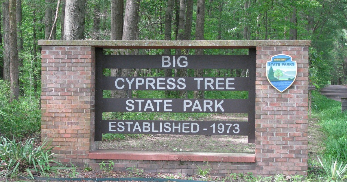 Big Cypress Tree State Park Is One Of The Most Secluded And Beautiful ...