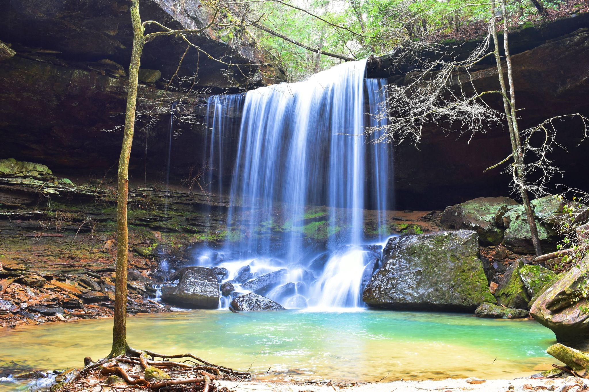 This Short And Easy Trail Will Lead You To One Of Alabama’s Most ...