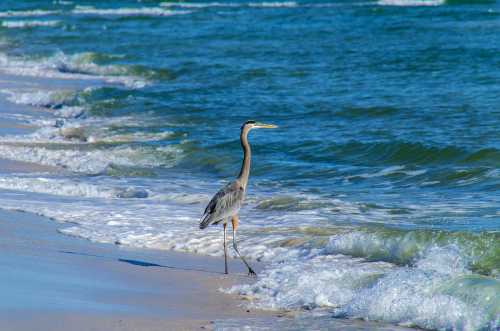 8 Secluded Beaches In Alabama: Visit This Summer