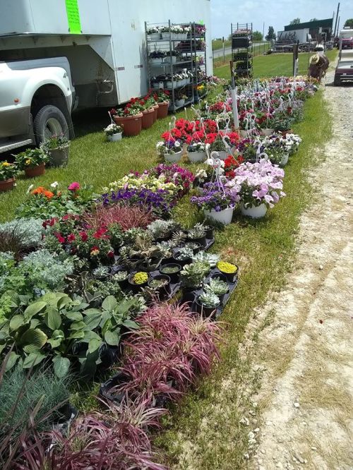 The Massive Rutledge Flea Market In Missouri Is Open Again