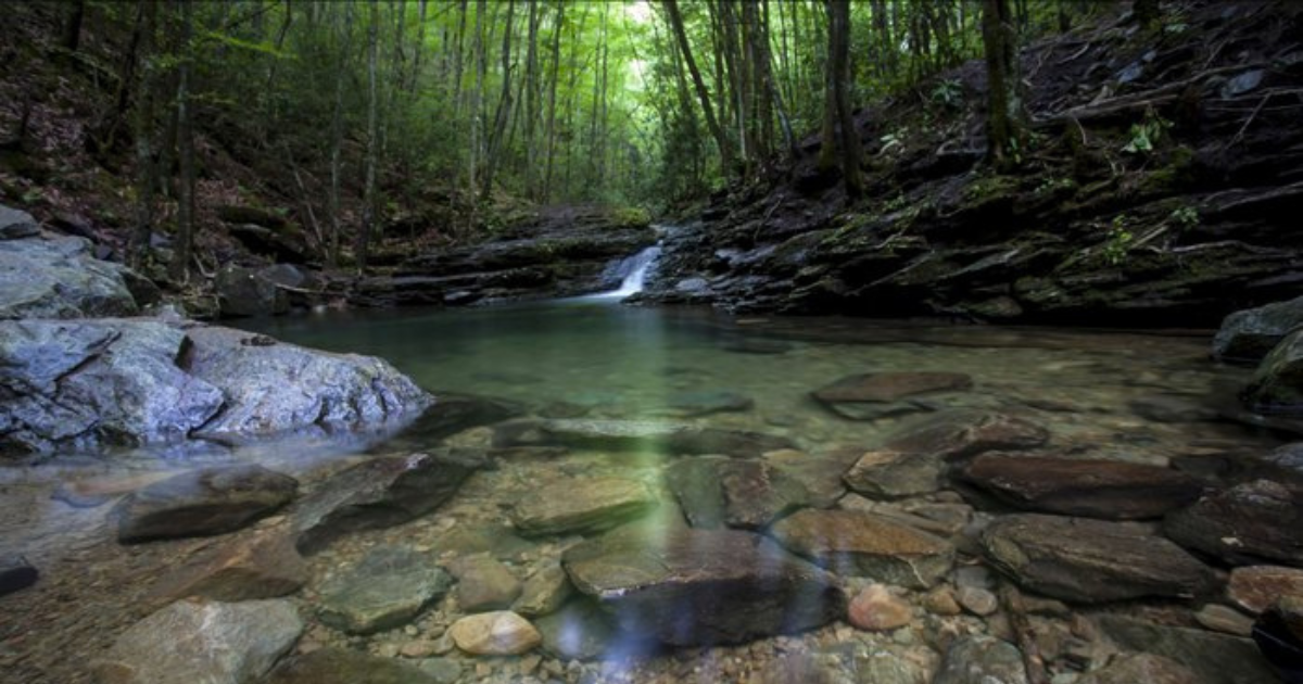 9 Virginia Natural Wonders To Add To Your Outdoor Bucket List