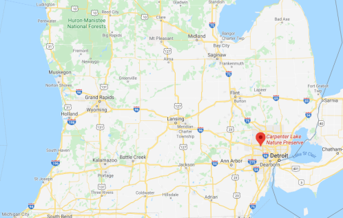 Carpenter Lake Nature Preserve Has A Unique Boulder Garden