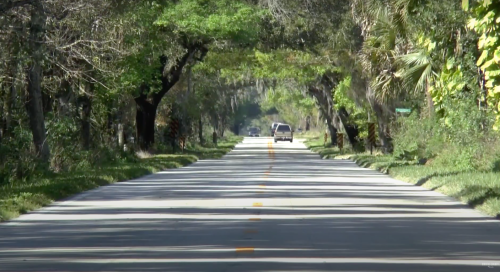 Drive Through A Tree Tunnel In Florida For A 12-Mile Adventure
