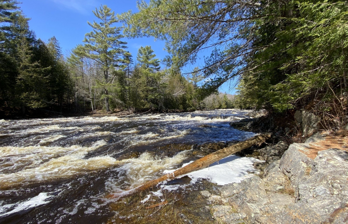 Waterfalls Near Me: A Hike To Mariaville Falls In Maine