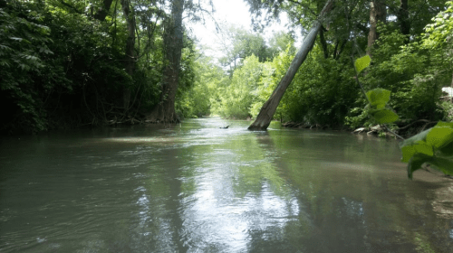 Donkey Lady Bridge: Haunted Bridge In San Antonio, Texas