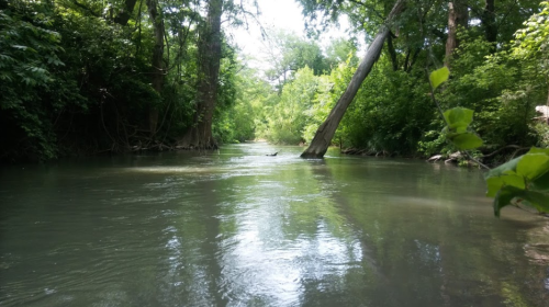Donkey Lady Bridge: Haunted Bridge In San Antonio, Texas