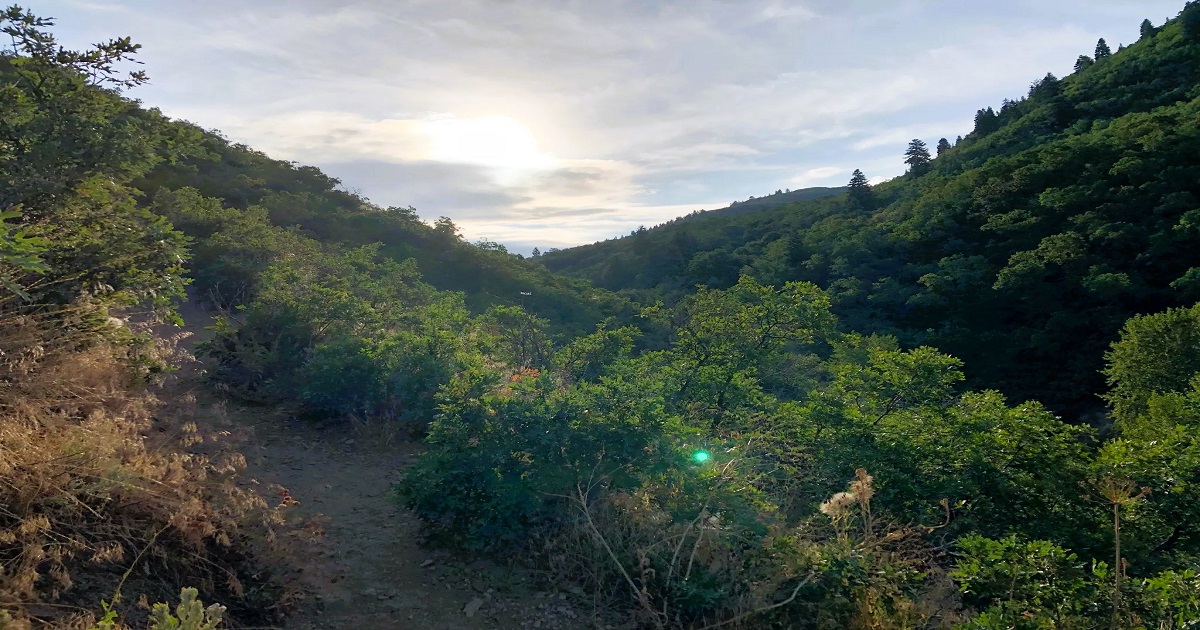 Best Spring Hikes In Utah: Holbrook Canyon Trail In Bountiful, UT