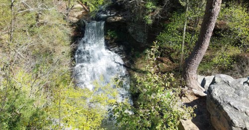 Alabama Waterfall Loop Road Trip Guide