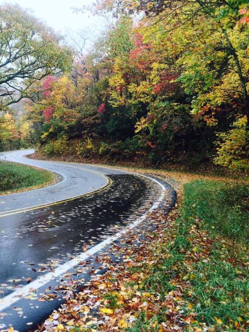 Shady Valley: One Of The Most Scenic Drives In Tennessee