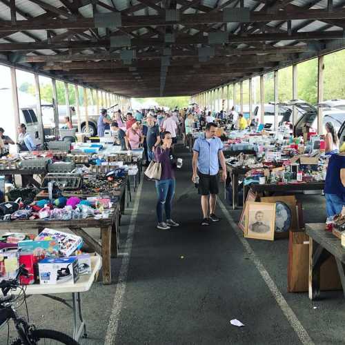 Flea Land Of Bowling Green: The Best Flea Market In Kentucky