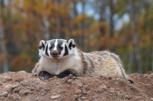 10 Things You Didn't Know About The History Of Wisconsin