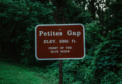 Swimming Holes With Rope Swings In Virginia: Arnold Valley