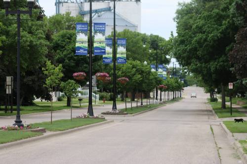 Come See The Dawson, Minnesota Gnomes In This Lovely Town