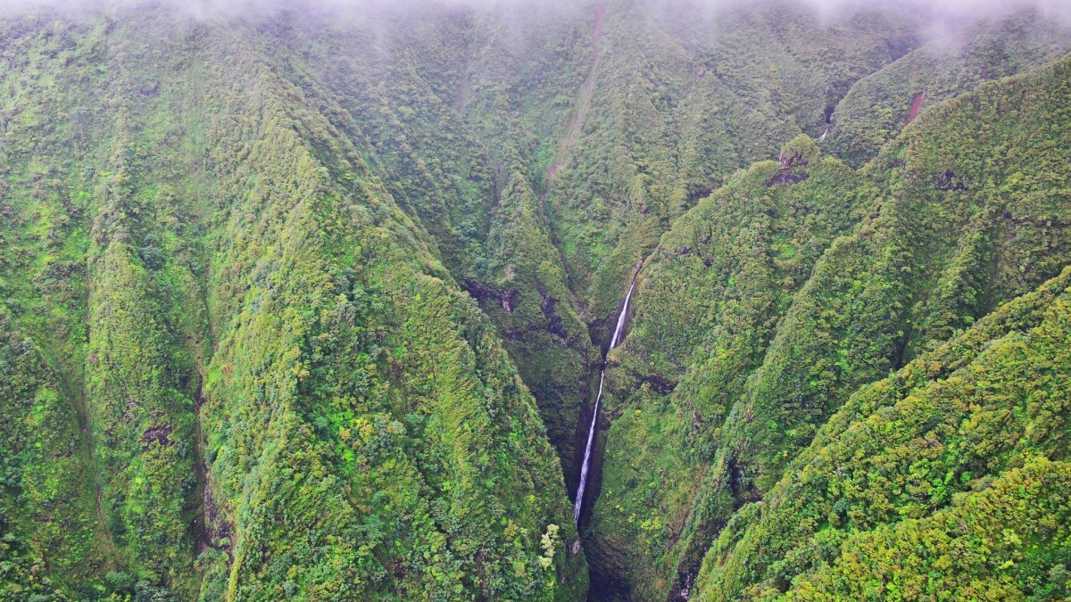 The Fatal Rockfall Of Hawaii's Sacred Falls Tragedy