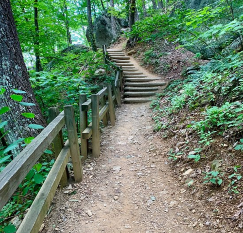 Explore 9 Beautiful Falls On This Virginia Waterfall Road Trip