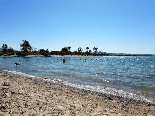 No Ocean In Arizona? Try 5 Of The Best Arizona Beaches Anyway