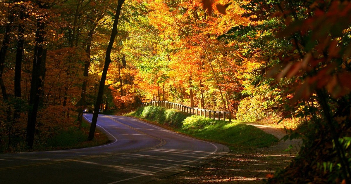 Top 13 Scenic Drives in Ohio for a Perfect Road Trip