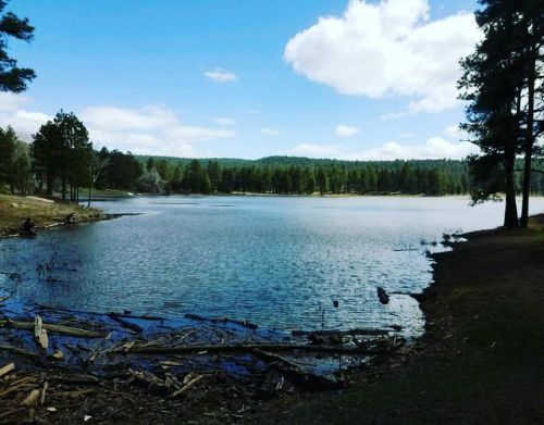 Munds Park Is One Of The Best Small Towns In Arizona
