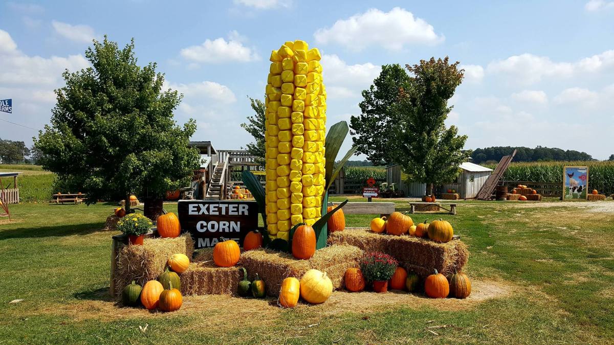 Exeter Corn Maze Is The Best Corn Maze In Missouri