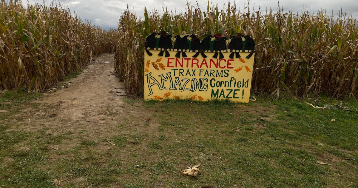 Celebrate Autumn At The Fall Festival At Trax Farms