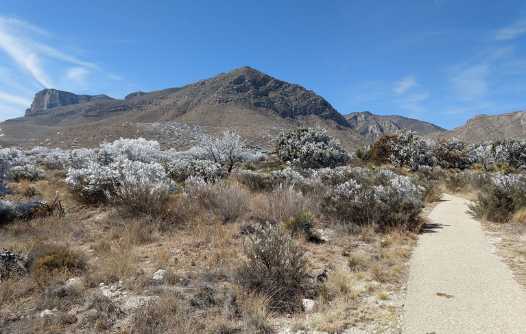 The Pinery Trail Is One Of The Best Hikes In Texas