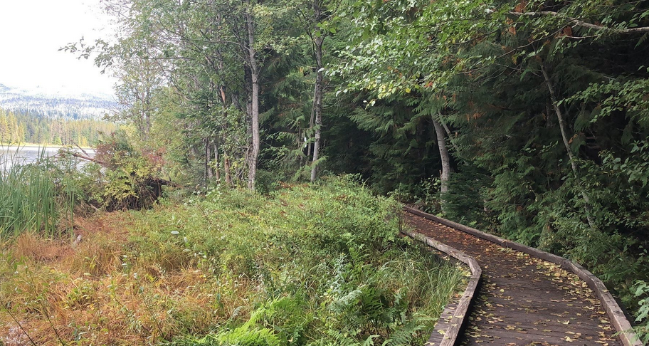Best Hikes In Oregon: Trillium Lake Loop Trail