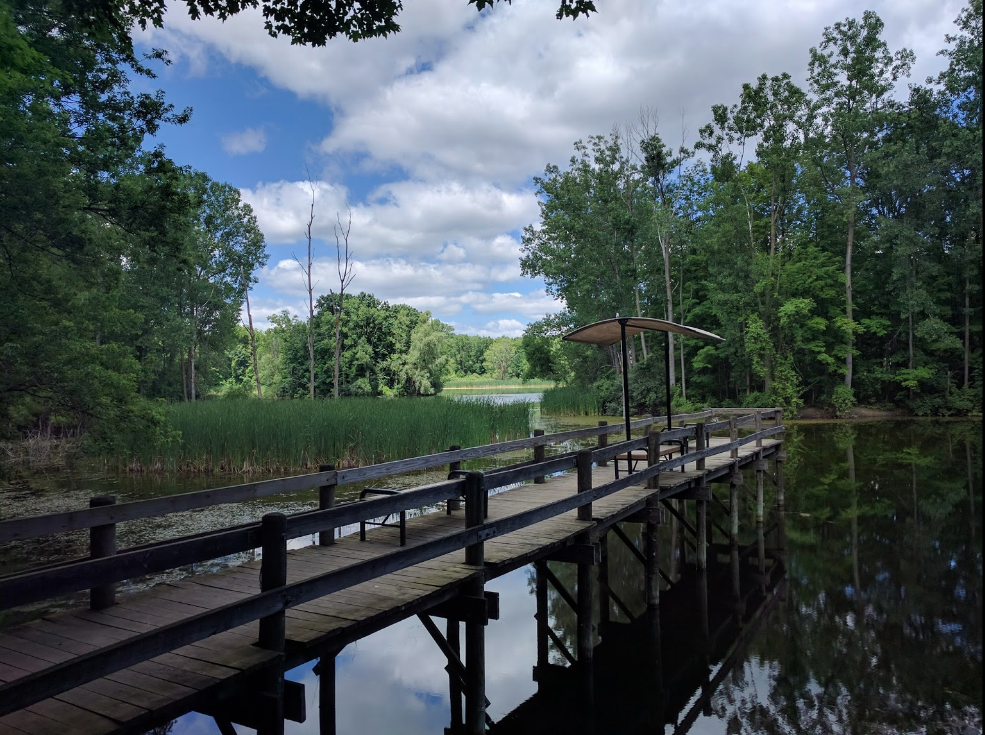 Here Are 7 Underrated State Parks To Explore Near Detroit