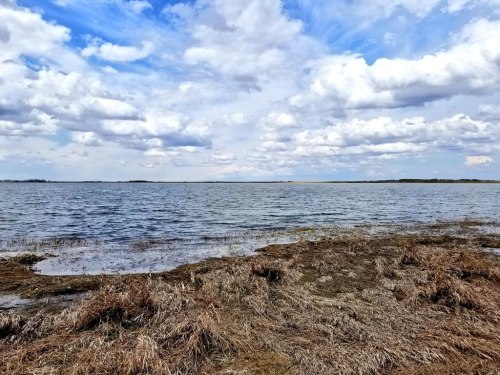 Salt Lake In Minnesota Is One-Of-A-Kind For Plants and Wildlife