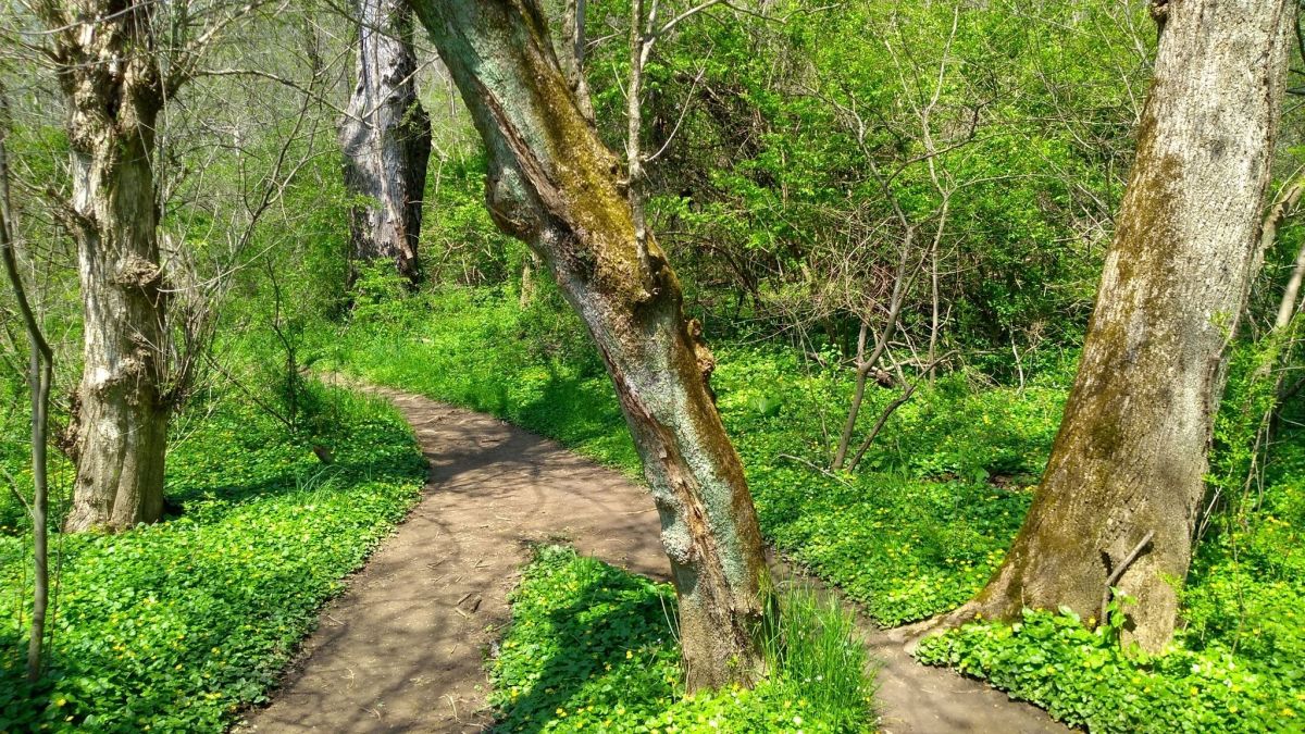 First State National Monument Trail One Of The Best Hikes In Delaware