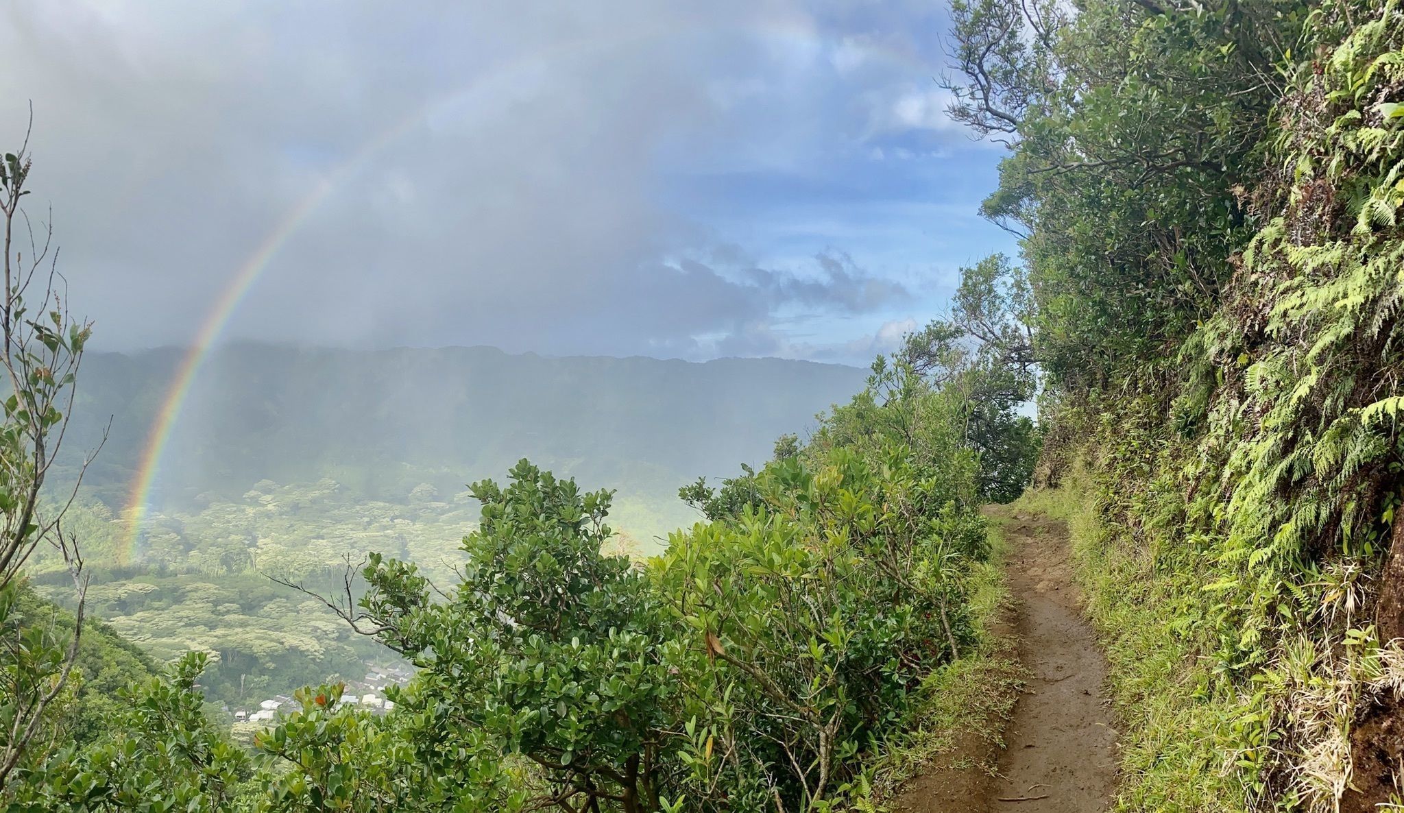 Manoa Cliff Trail Might Be One Of The Most Beautiful Short-And-Sweet ...