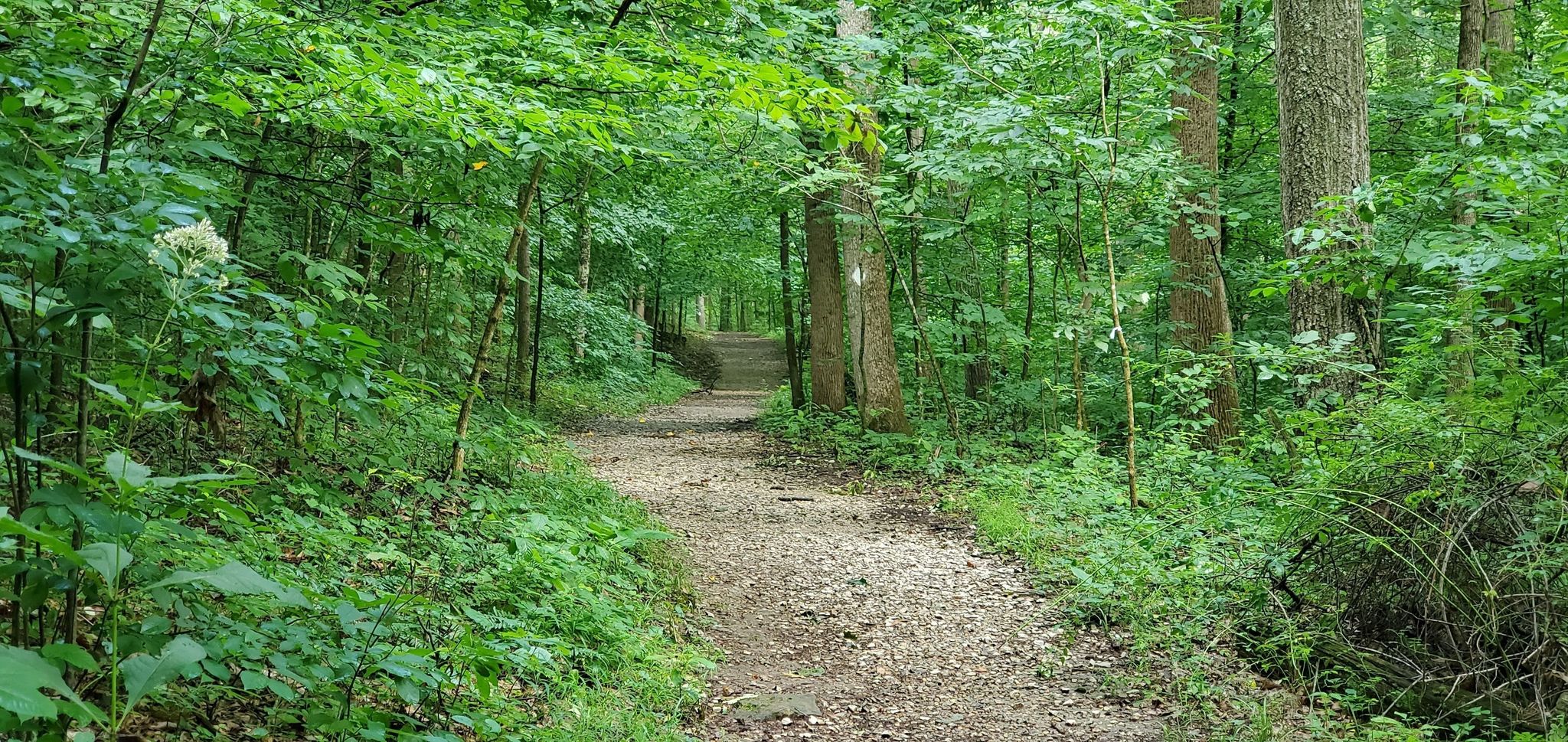 The Hemlock Cliffs National Scenic Trail Might Be One Of The Most ...