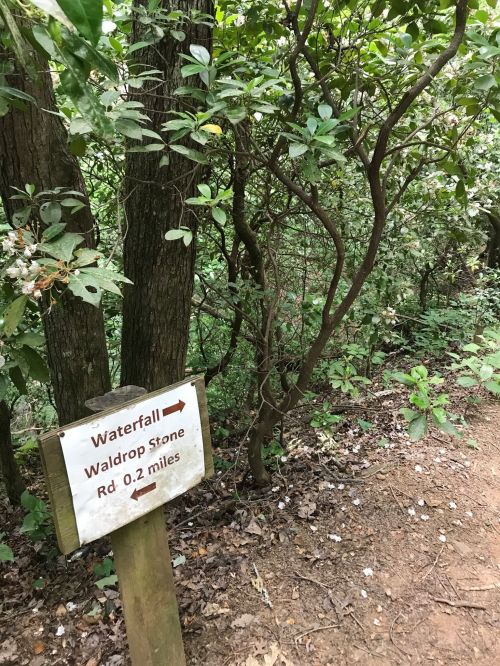 Waldrop Stone Falls Trail Is One Of The Best Hikes In South Carolina