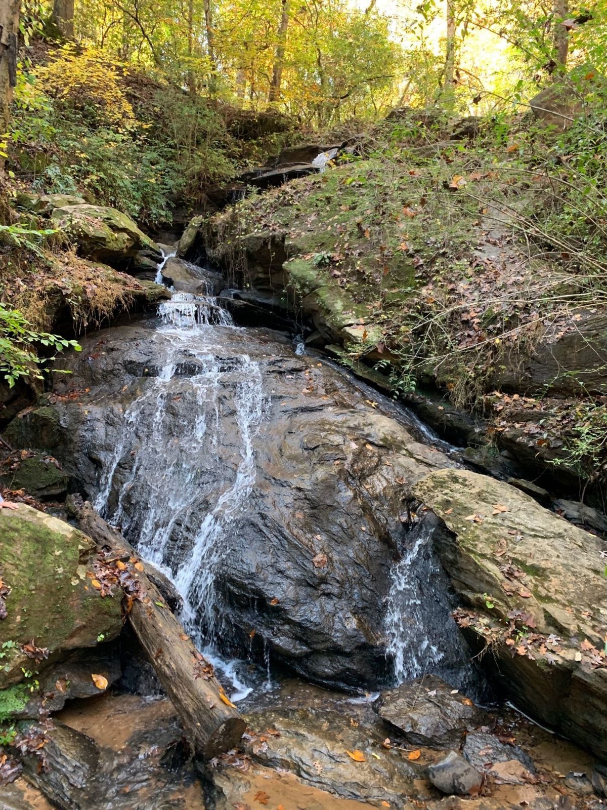 Waldrop Stone Falls Trail Is One Of The Best Hikes In South Carolina