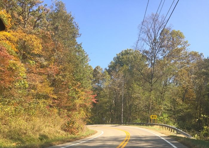 Scenic Drives In Ohio: The Best Ones For Autumn Afternoons