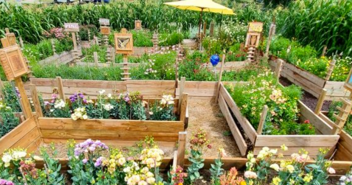 Flower Maze In Nebraska: A-Mazing Flowers and Studio