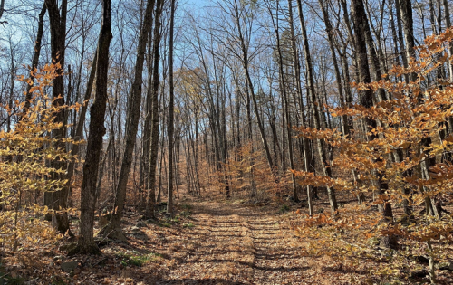 Things To Do: 11 Best Places To Visit In Connecticut In The Fall