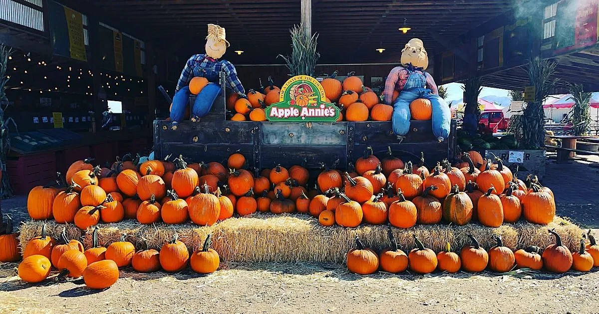Fall Into The Season With A Weekend Trip To Apple Annie’s Orchard In ...