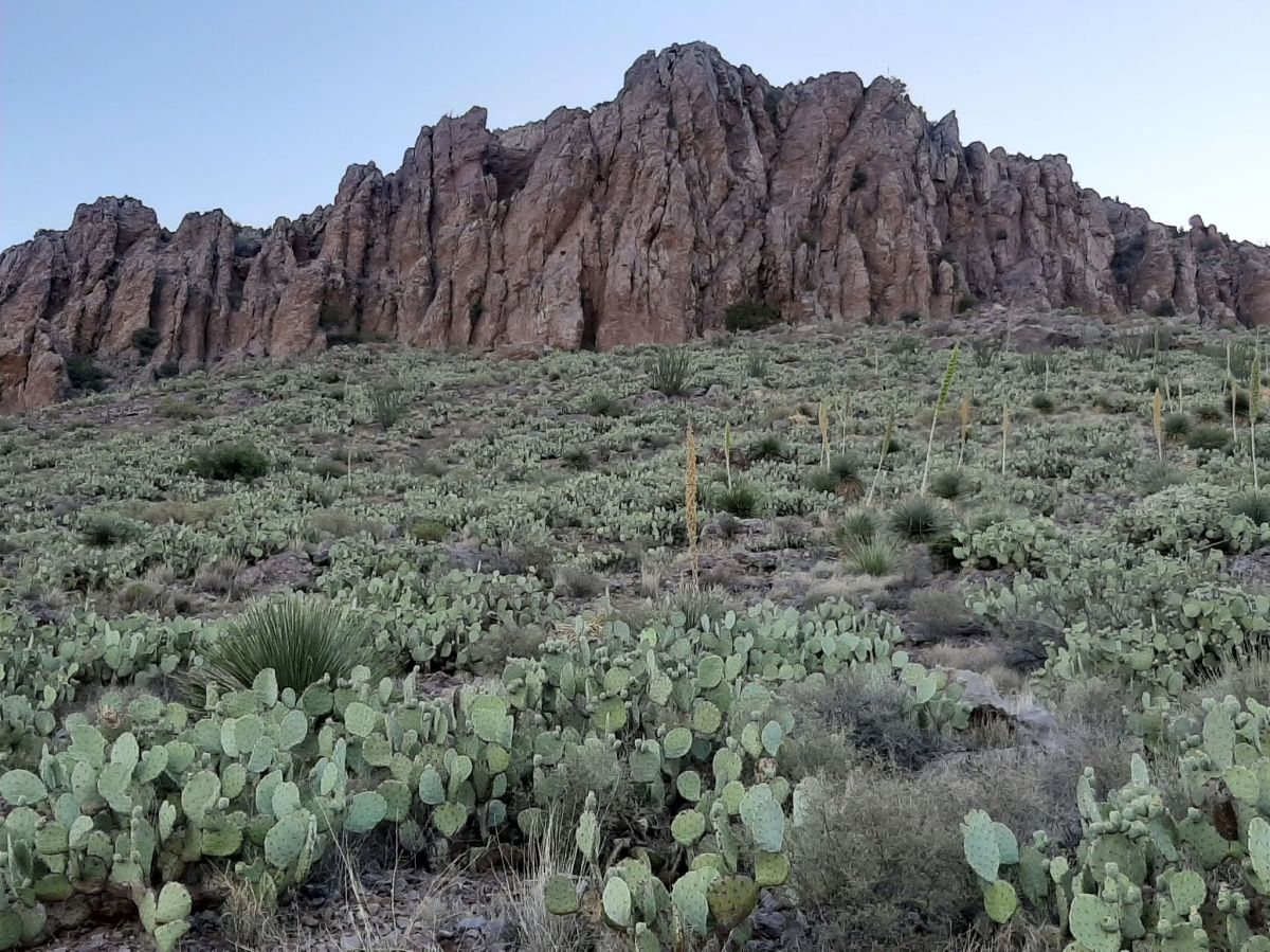 Thunder Egg Trail Is One Of The Best Hikes In New Mexico