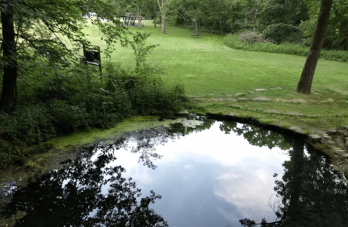 The Richmond Spring Trail Is One Of The Best Hikes In Iowa