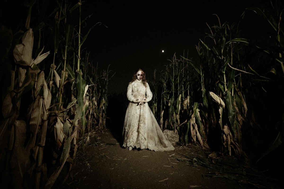 This Scary, Haunted Corn Maze In Colorado Is Fun And Terrifying