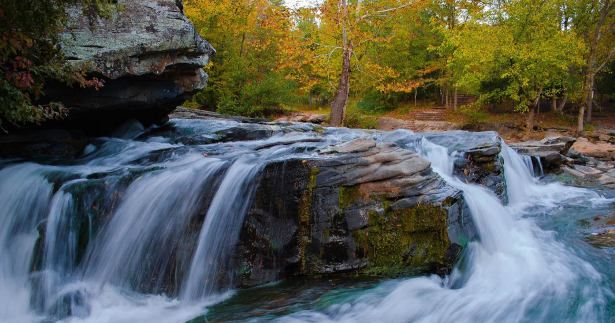 Turkey Creek Nature Preserve In Alabama Has Beautiful Fall Hues