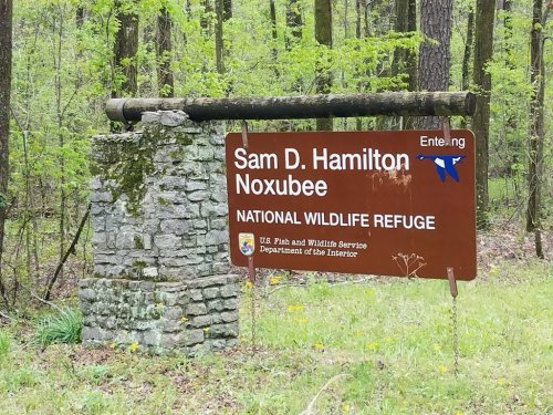 Noxubee National Wildlife Refuge In Mississippi Is A Hidden Gem