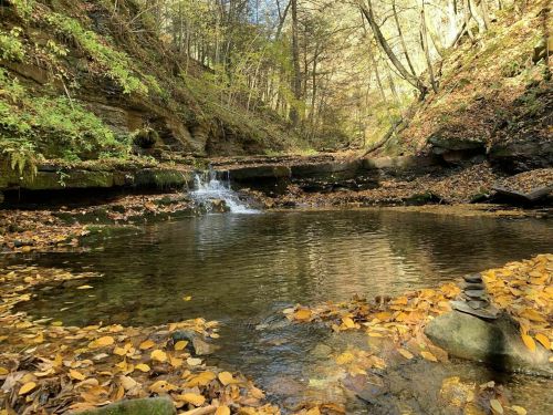 Turkey Path Trail In Pennsylvania Leads to Incredible Views