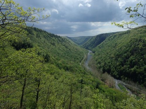 Turkey Path Trail In Pennsylvania Leads to Incredible Views