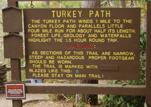 Turkey Path Trail In Pennsylvania Leads to Incredible Views