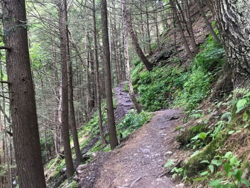 Turkey Path Trail In Pennsylvania Leads to Incredible Views