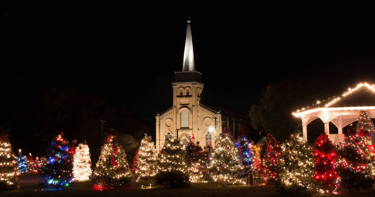 Walk A Christmas Tree Trail In Texas This Holiday Season